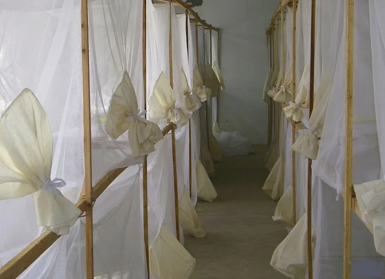 Accept Custom Size Black Soldier Flies Breeding Mesh Cages Wholesale ...