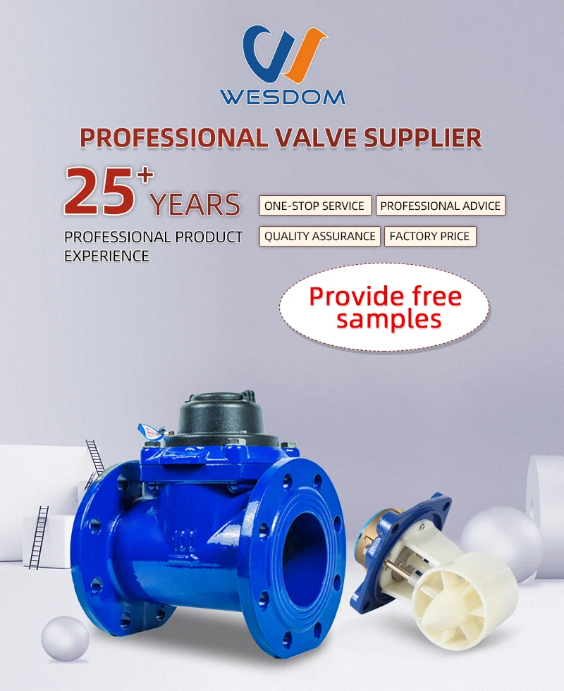 2024 Wesdom Dn50 Iso 4064 Class B Irrigation Woltman Type Water Meters Price - Buy Flanged Bulk ...