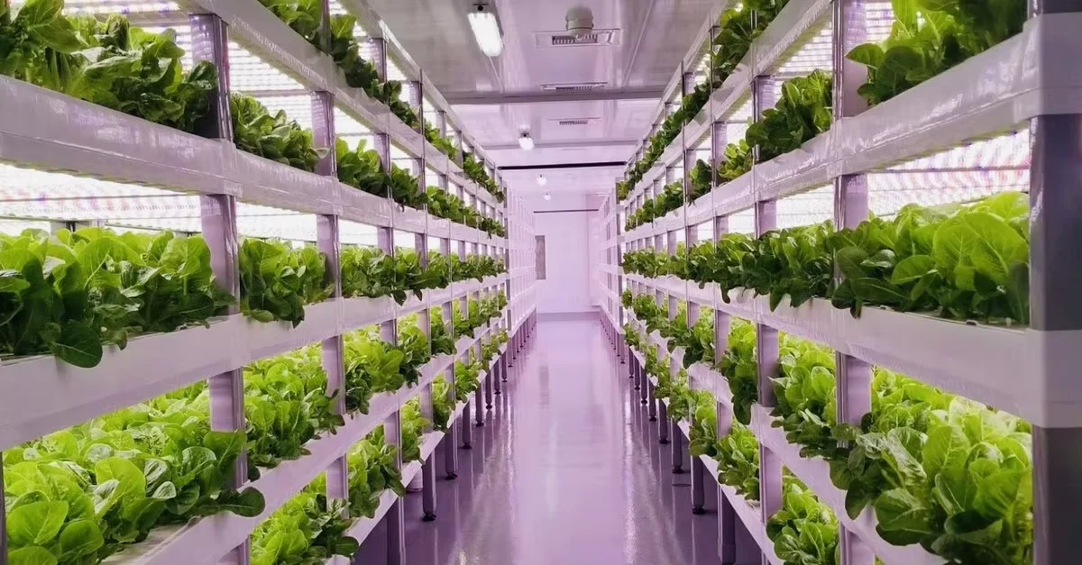 Smart Farm Shipping Container Farm - Vertical Hydroponic Growing System