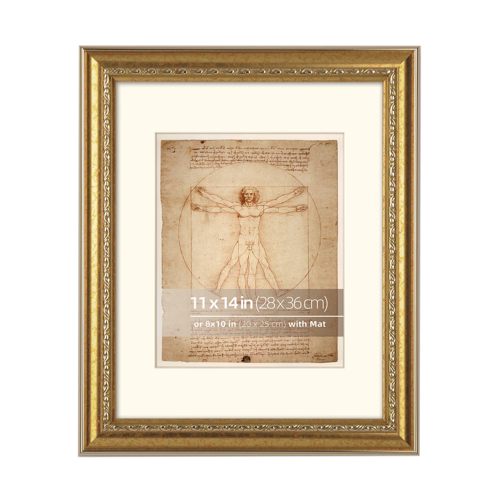 11 x 14 Tabletop or Wall Display Real Glass Front Gold Ornate Classic ...