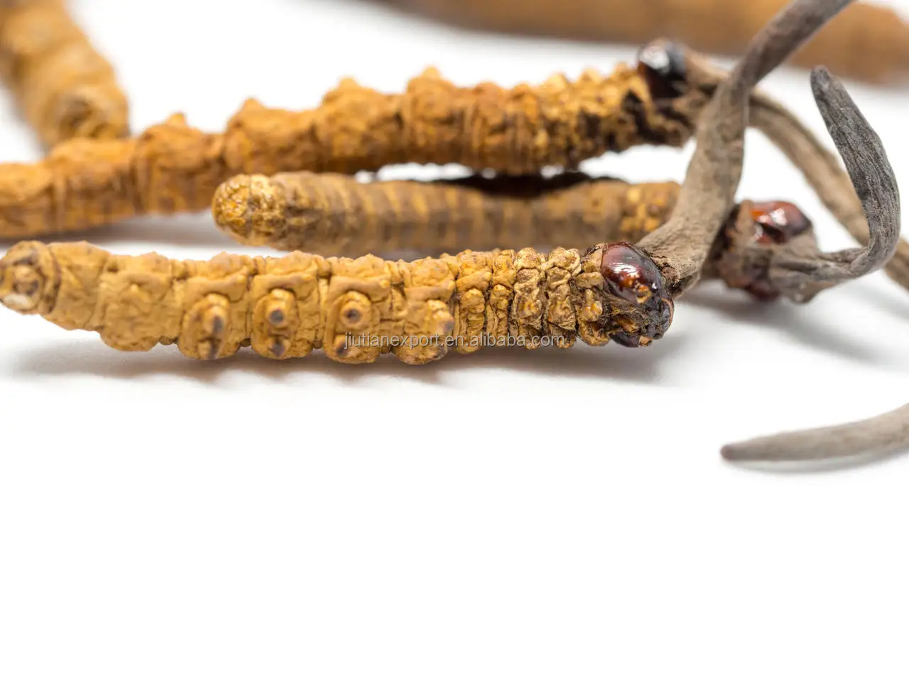 Qinghai-tibet Plateau Cordyceps Sinensis Aweto Wild Cordyceps Sinensis ...