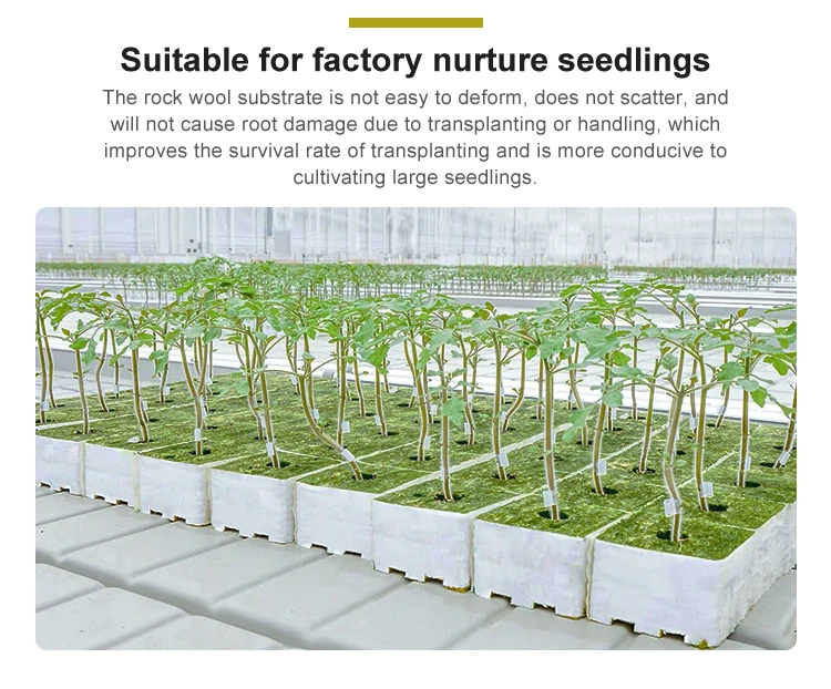 Boyun-agricultural Greenhouse Rock Wool Cubes Hydroponic Grow For ...