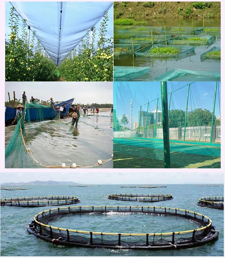 Brown Algeria Nylon Sardine Fishing Net - Durable & UV Resistant