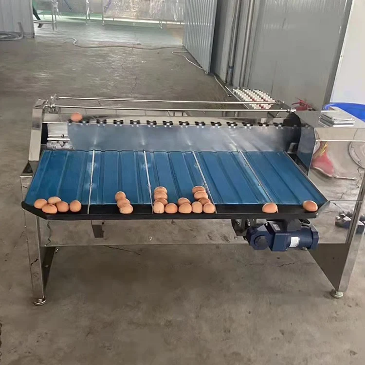 Chicken Egg Weight Automatic Classify Sorter - 5400pcs/h