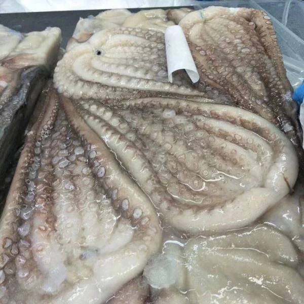 Get Price Now Frozen Giant Octopus – Premium Quality, Gutted, 3KG-5KG ...