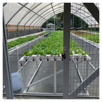 100*50mm Pvc Growing Channel Leafy Vegetable Hydroponics Farming System ...