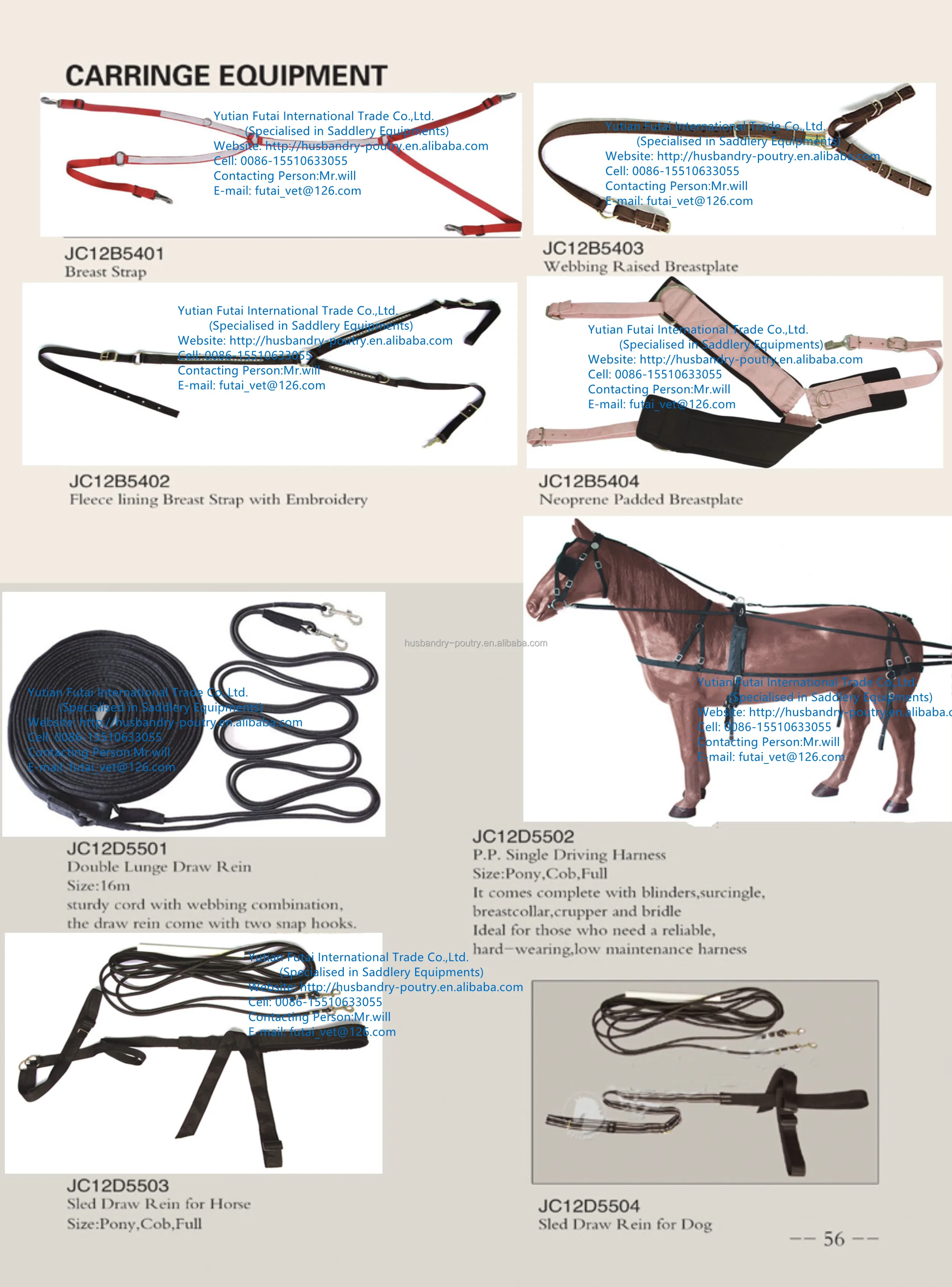 Horse Lunging Equipment