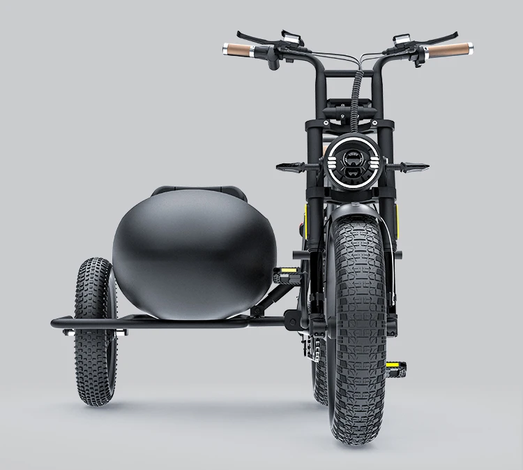 Coswheel Side Car Pedal Assist Bike Sidecar To Carry Pets Electric Fat ...