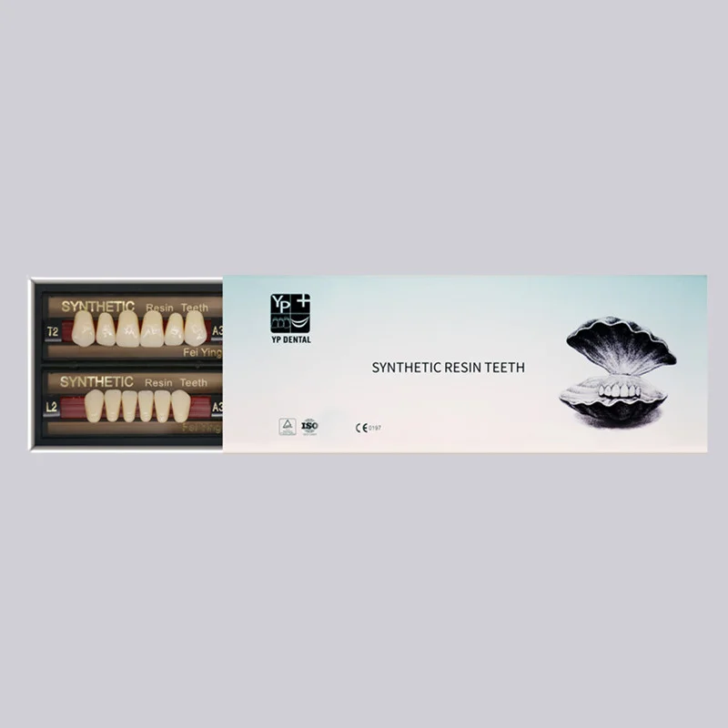 Best Price Multi-layer Composite Synthetic Resin Acrylic Teeth For ...