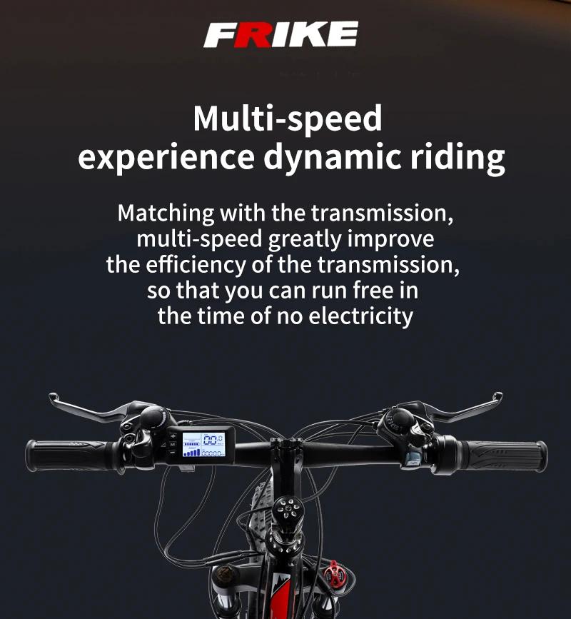 FRIKE Ebike 1000W 48V - Ultimate Electric Bike Experience