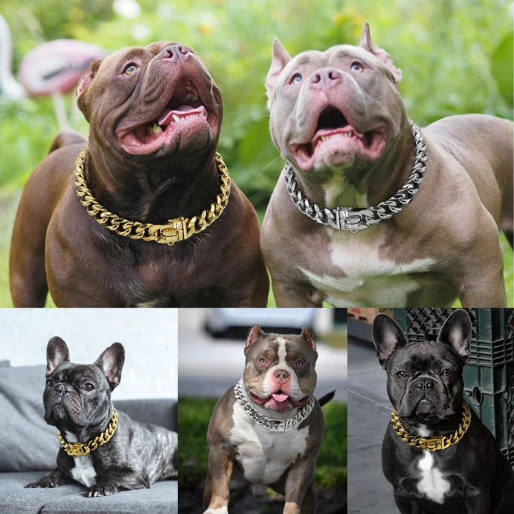 Joyfamily Gold Chain Petstar Dog Collar Hardware Heavy Duty Stainless ...