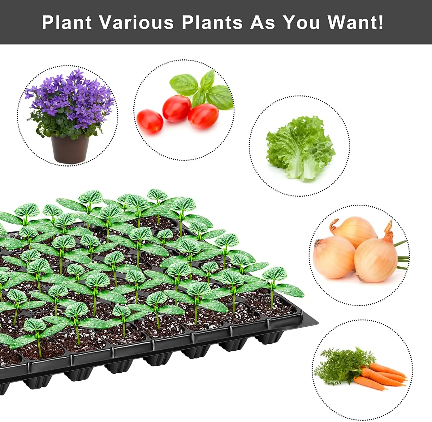 Wholesale 50 Deep Cell Tree Seedling Trays - Durable & Efficient