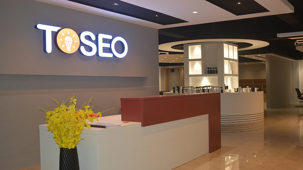 TOSEO Customized Surface Mounted Ip65 Waterproof LED Downlight