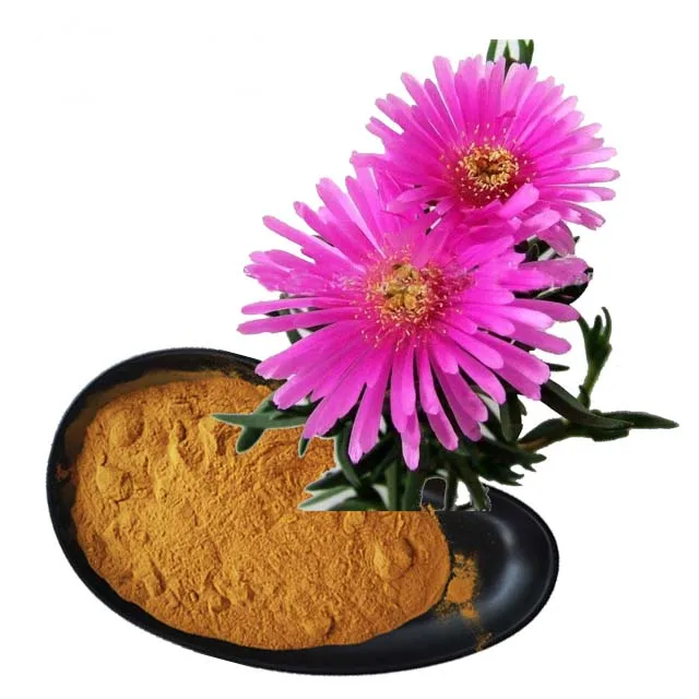 Factory Supply Kanna Extract Mesembrine Powder Sceletium Tortuosum ...