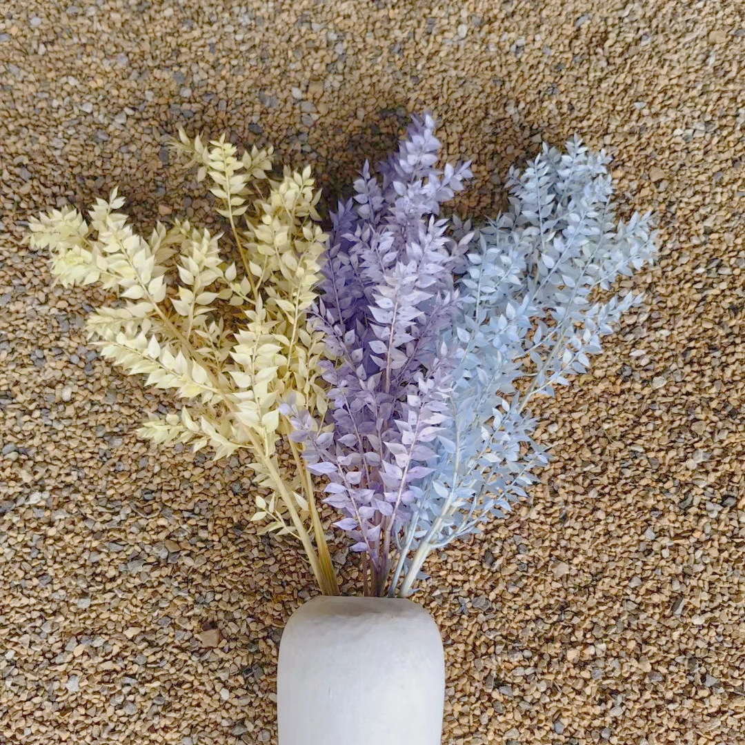 Shop Our 2023 Artificial Flowers & Dried Ruscus Preserved for DIY ...