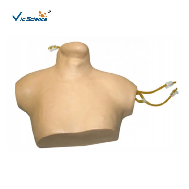 venous puncture and intubation model anatomical structure sternal notch ...