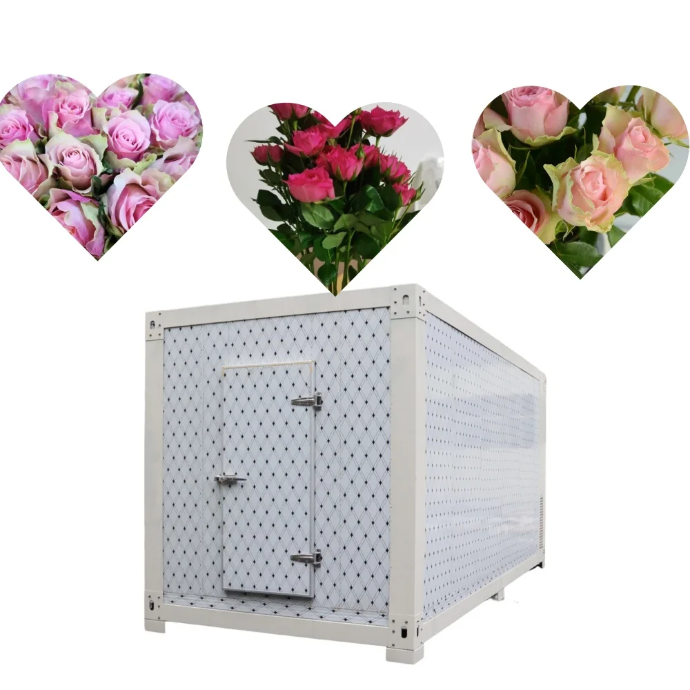 Mini cold room monoblock refrigeration units cold room price cold room ...