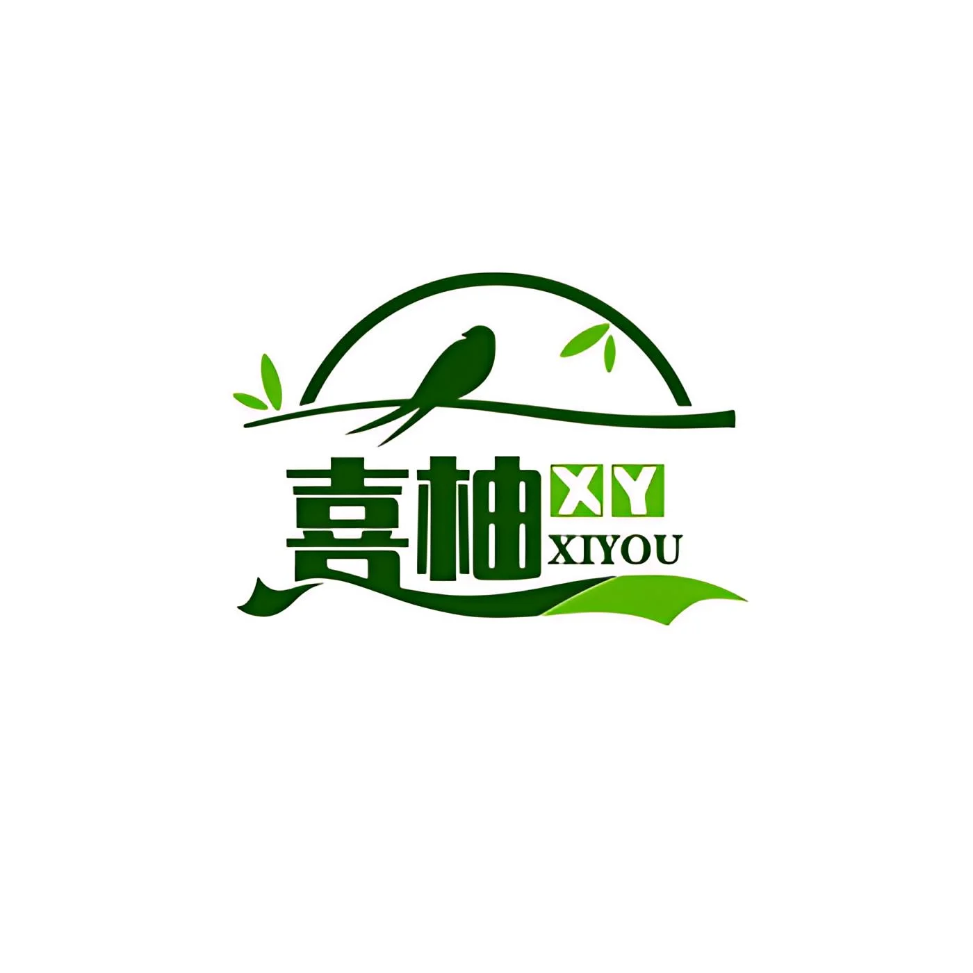 Company Overview - Kunming Xiyou Biotechnology Co., Ltd.
