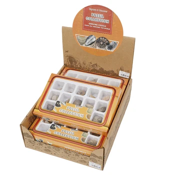 Genuine Fossil Collection - 12 Fossils,Science Kit For Kids,A Geology ...