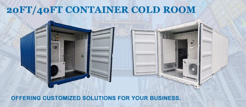 20FT Container Walk in Freezer - Efficient Cold Storage