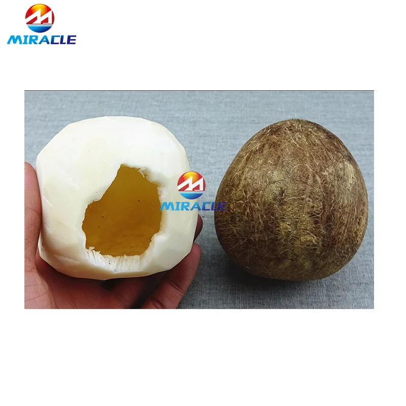 Electric Coconut Scraper Skin Peeler Coconuts Peeling Machine ...
