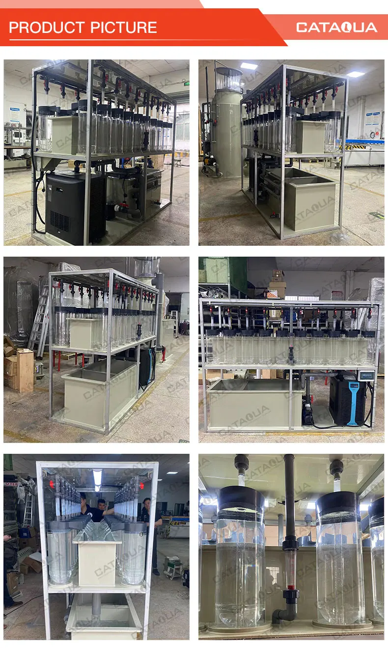 CATAQUA Aquarium Fish Hatchery System Fish Hatchery Equipment Fish ...