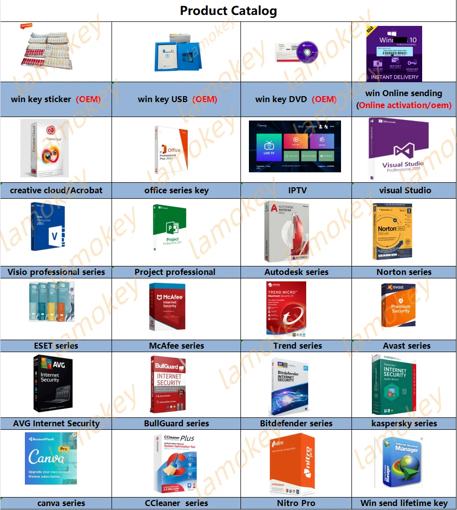 Genuine Office 2019 Pro Plus Digital Key 1pc 100% Online Activation ...