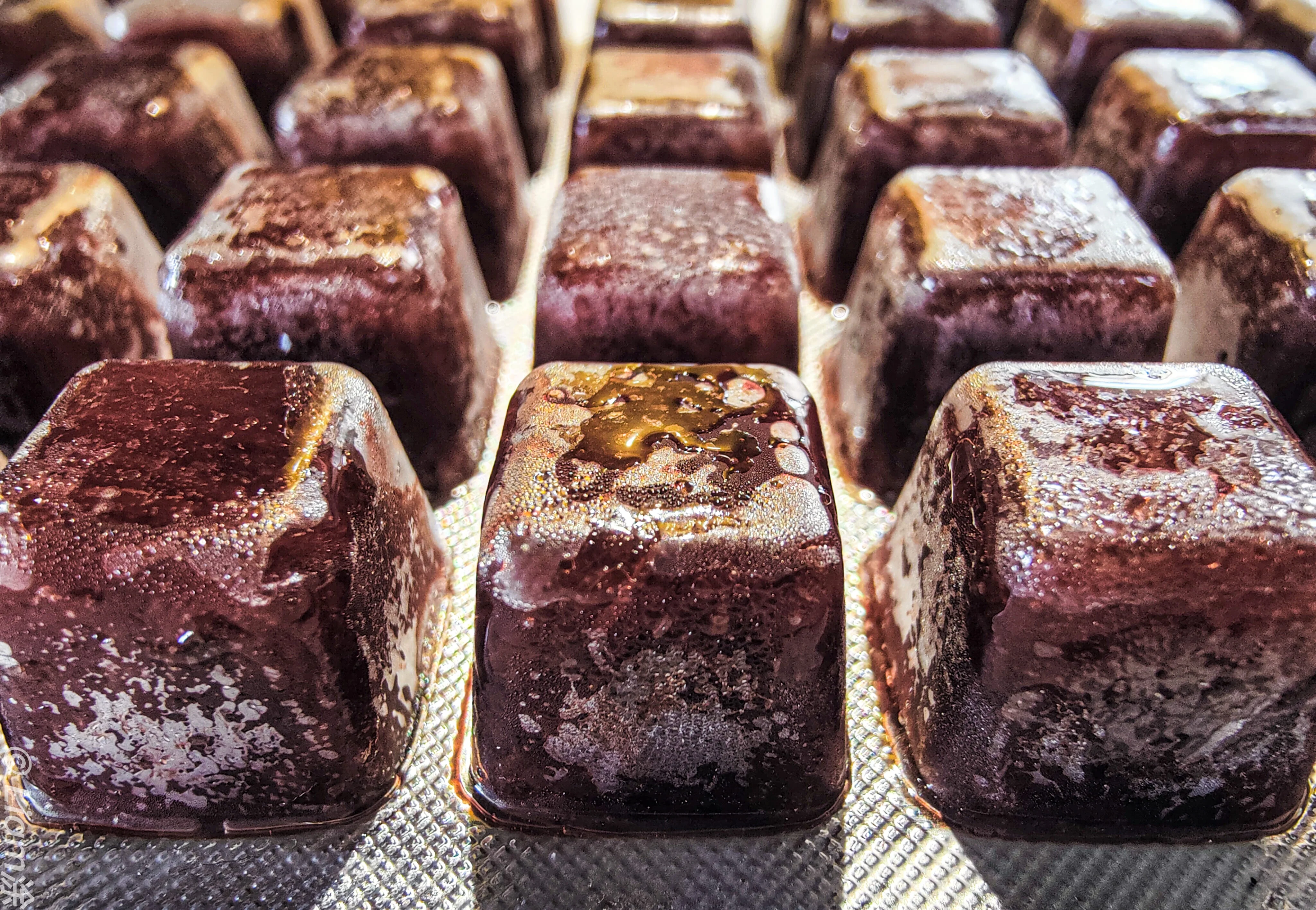 Frozen Bloodworm Cubes for Tropical Fish - High-Protein Pet Food for ...