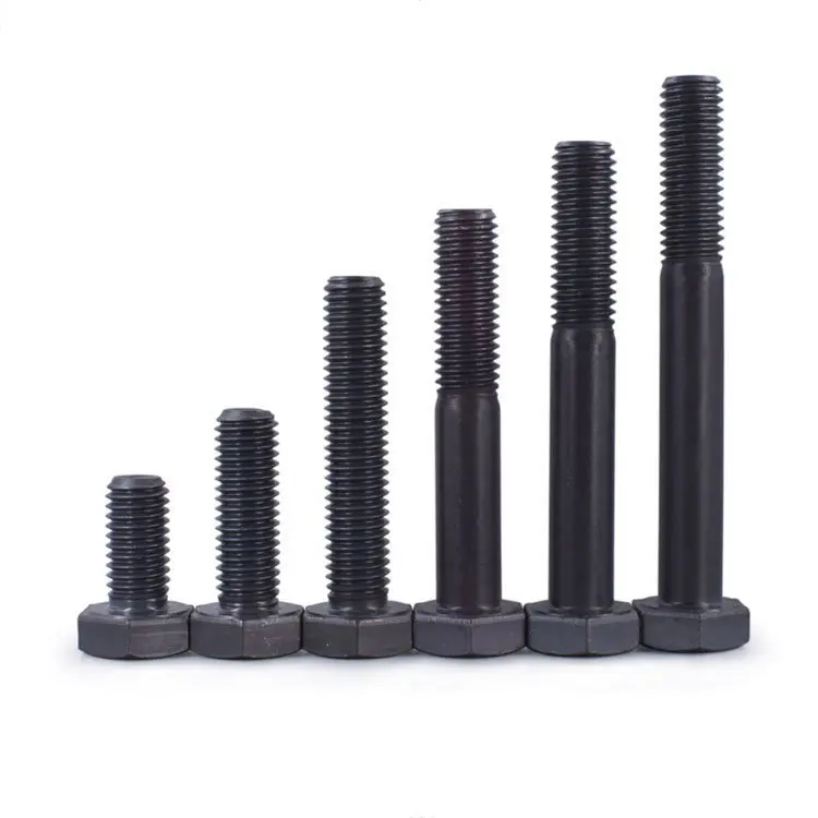 Fastener Standard Metric Thread S Assortment Segment Bolt Nut Hexagon ...