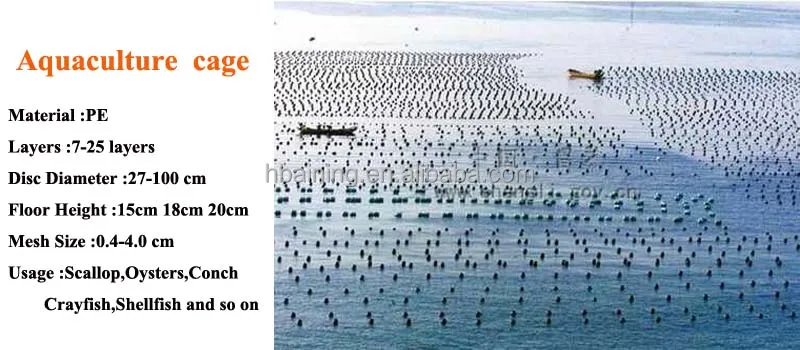 Scallop Hatchery - Efficient Culture Nets for Aquatics