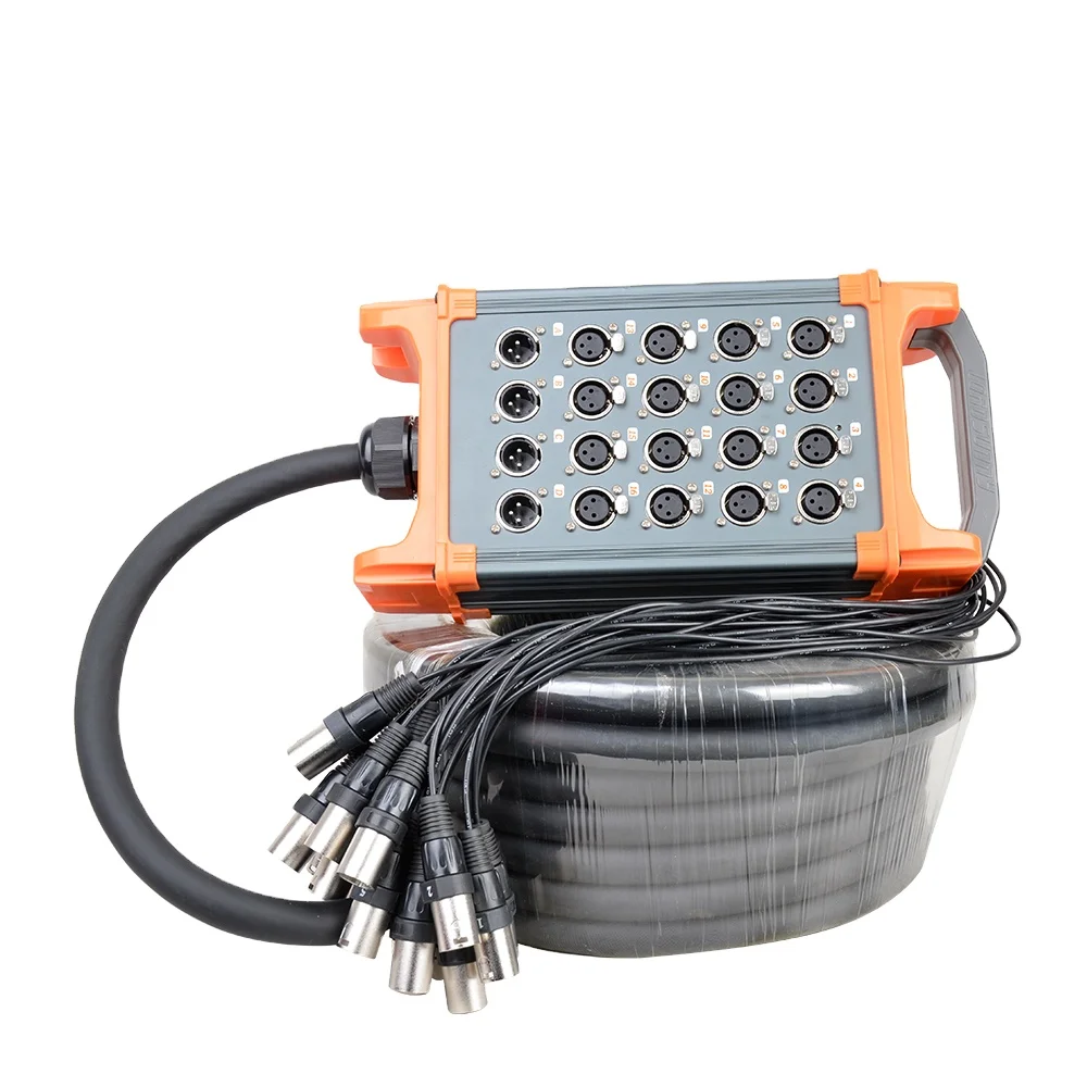 Bs12 100 Feet 20 Channels Xlr Stage Box Audio Snake Cable - Buy Snake ...