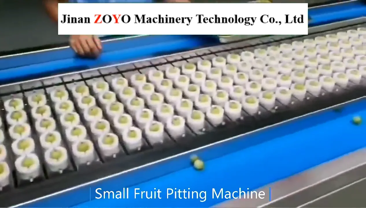 Automatic Red Bayberry Pitting Machine Cherry Pitter Olive Pitter ...