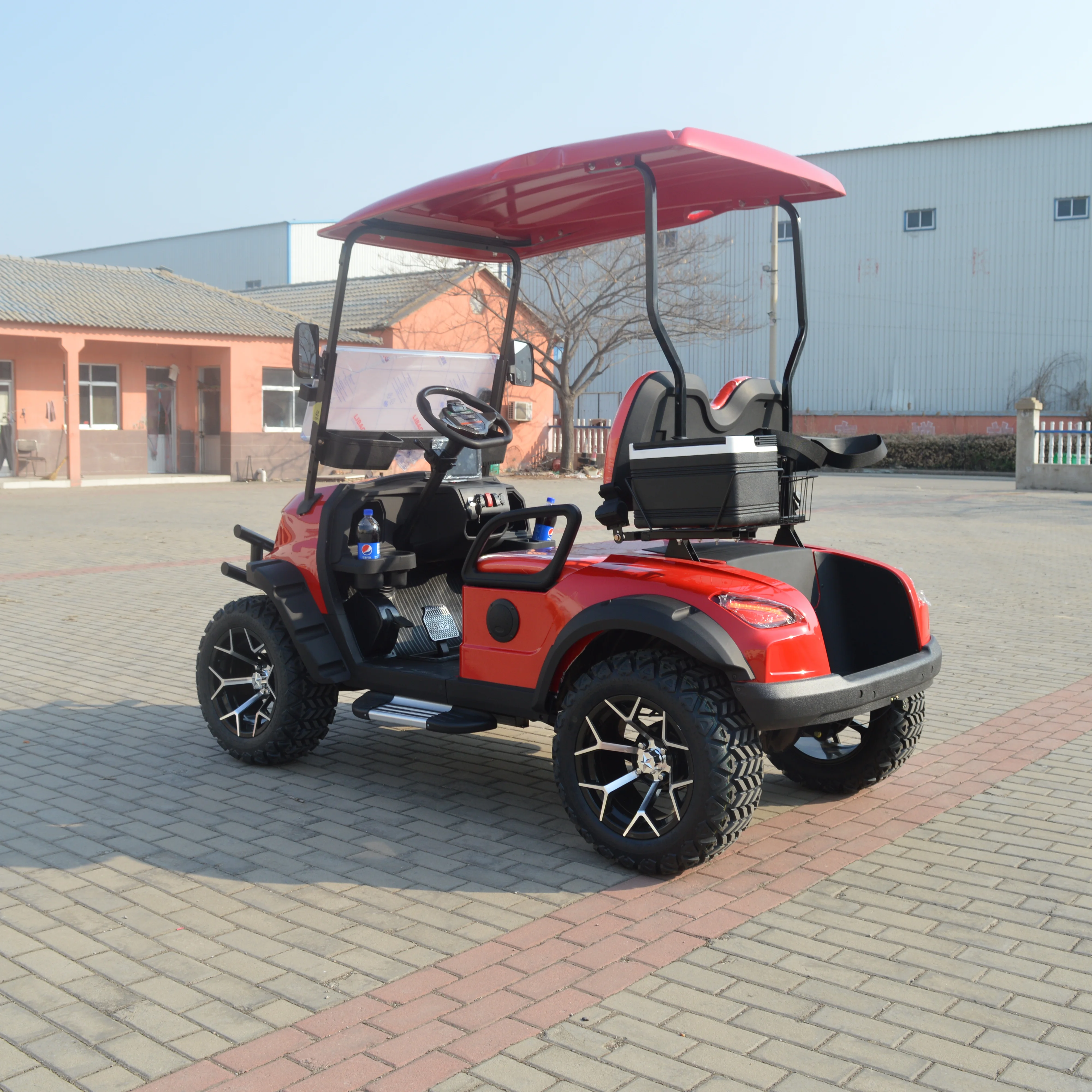 2024 2-seater Electric Golf Cart With Lithium Battery Aluminium Floor ...