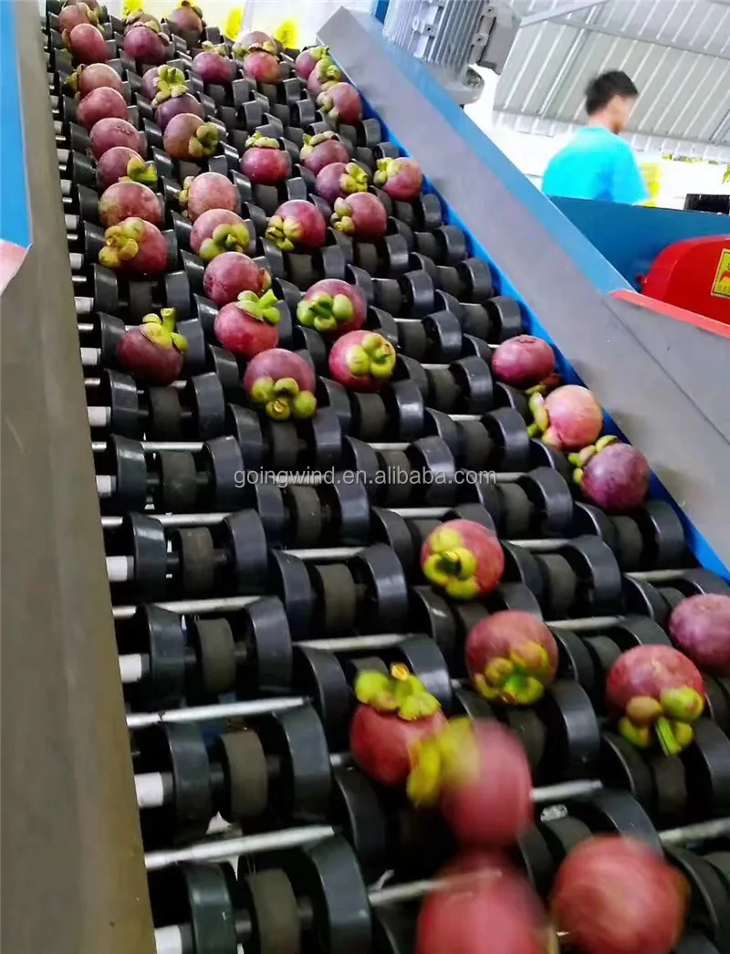 Automatic Fruit Grading Machine Auto Industrial Fruits Weight Sorting ...