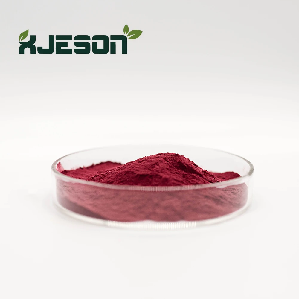 100% Miniature Hibiscus Sabdariffa Roselle Extract Powder 20:1 Pure ...