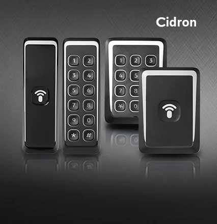 Cidron Wiegand RFID DESFire EV1 EV2 Smart Card Reader RS485 125KHz 13 ...
