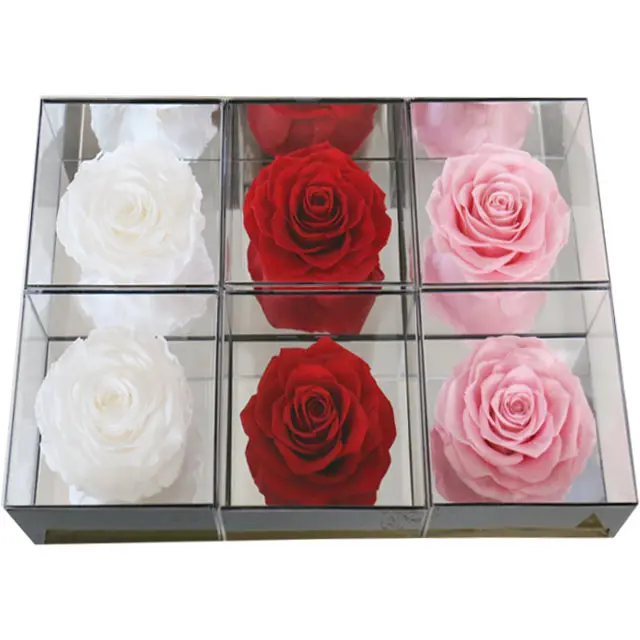 wholesale preserved single eternal rose in acrylic box forever giant ...