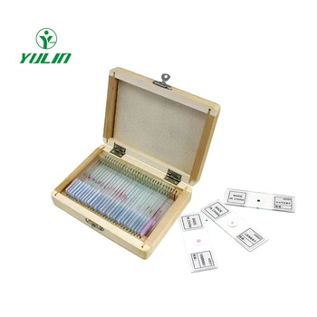 Microslides Medical Science 30 Pieces Set Human Tissue Anatomical ...