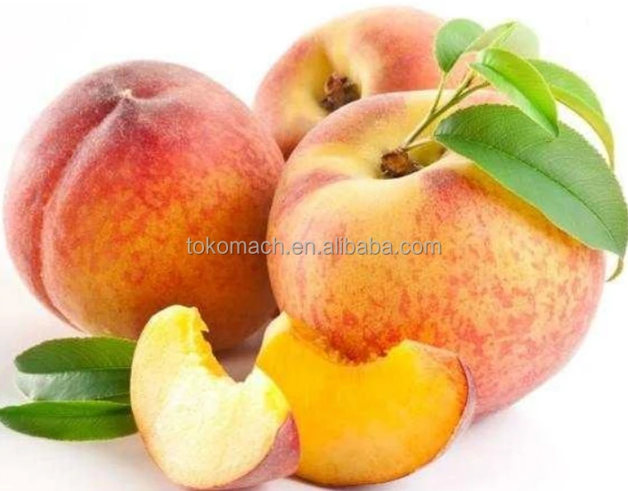 Fruit Pulp Filter Machine Tomato Pulper Fruit Avocado Banana Pulping ...