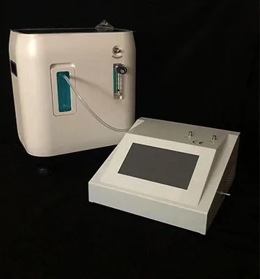 Built-in Vacuum Portable Medical Ozone Generator Blood Treatment with ...