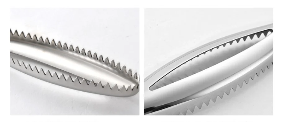 Stainless Steel Fish Scale Planer Scraper Home Manual Scaling Kill Fish ...