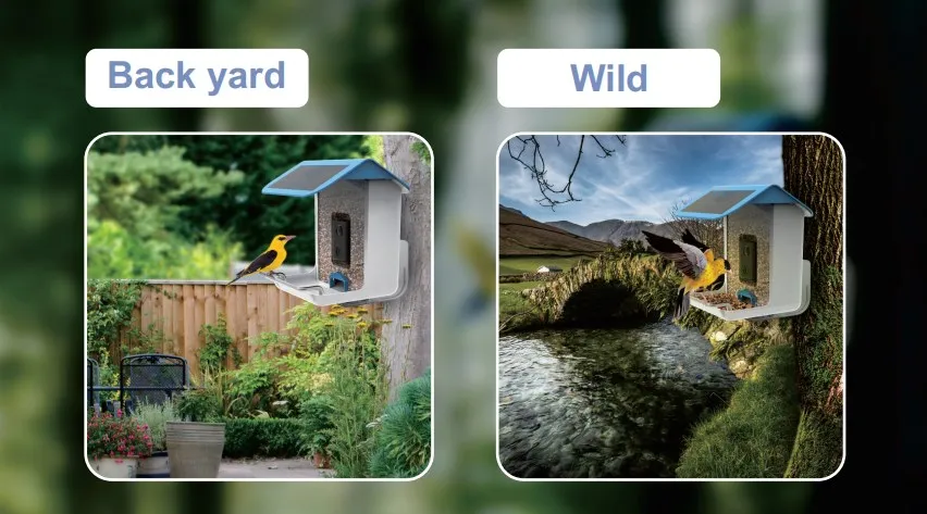 Ai Recognition Smart Bird Feeder For Christmas Gift With Camera And ...