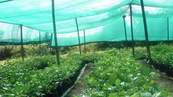 Agriculture Green Sun Shade Net Hdpe Knitted Garden Shade Cloth ...