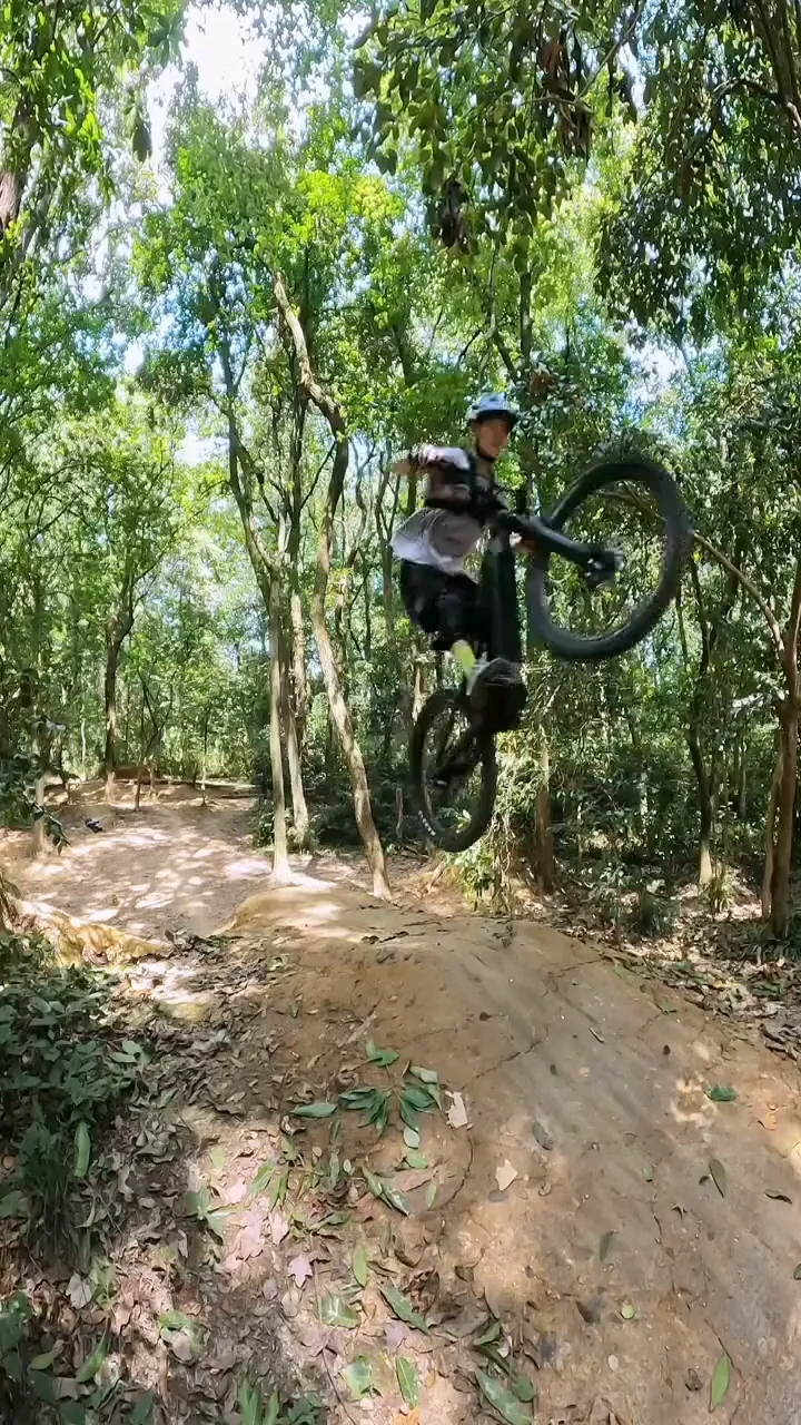 500w 48v Bafang M600 Mid Drive Full Suspension Downhill Electric ...