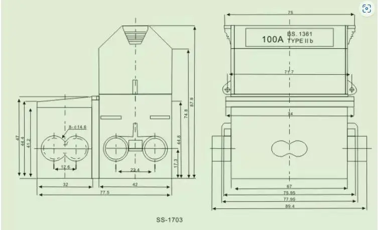 Low Voltage Cut Out Fuses - Reliable Protection Solutions