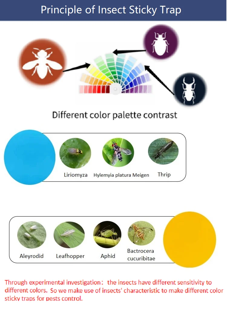 20*10 CM Yellow Traps - Effective Pest Control for Agriculture