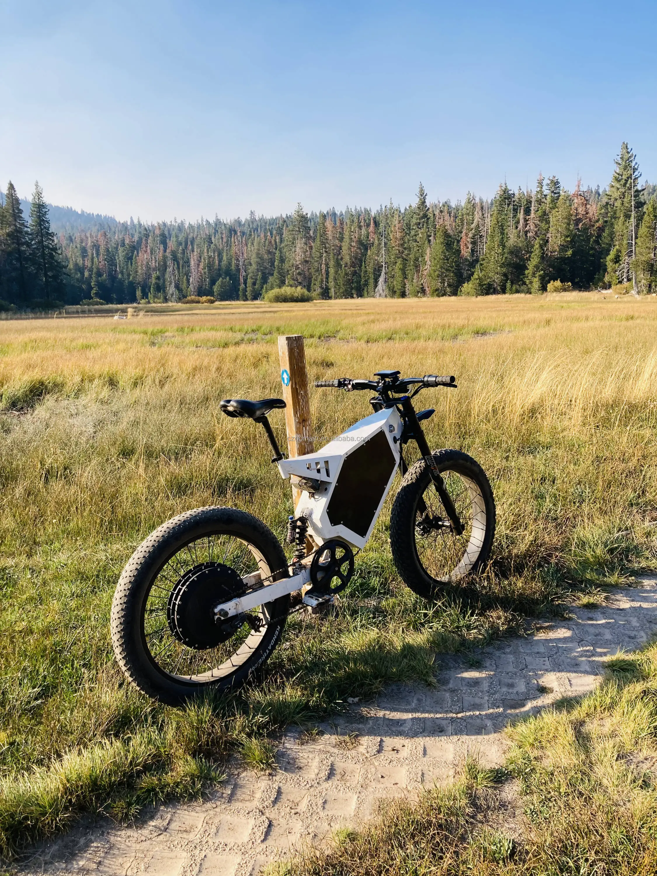 Steel Downhill Electric Bike Frame for EBike & Electric Bicycle