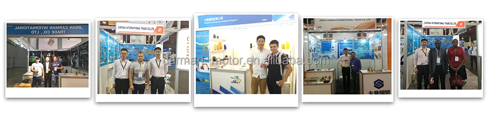 Carruchi AZ9925520310 SITRAK Engine Repair Kit - Balance Shafts