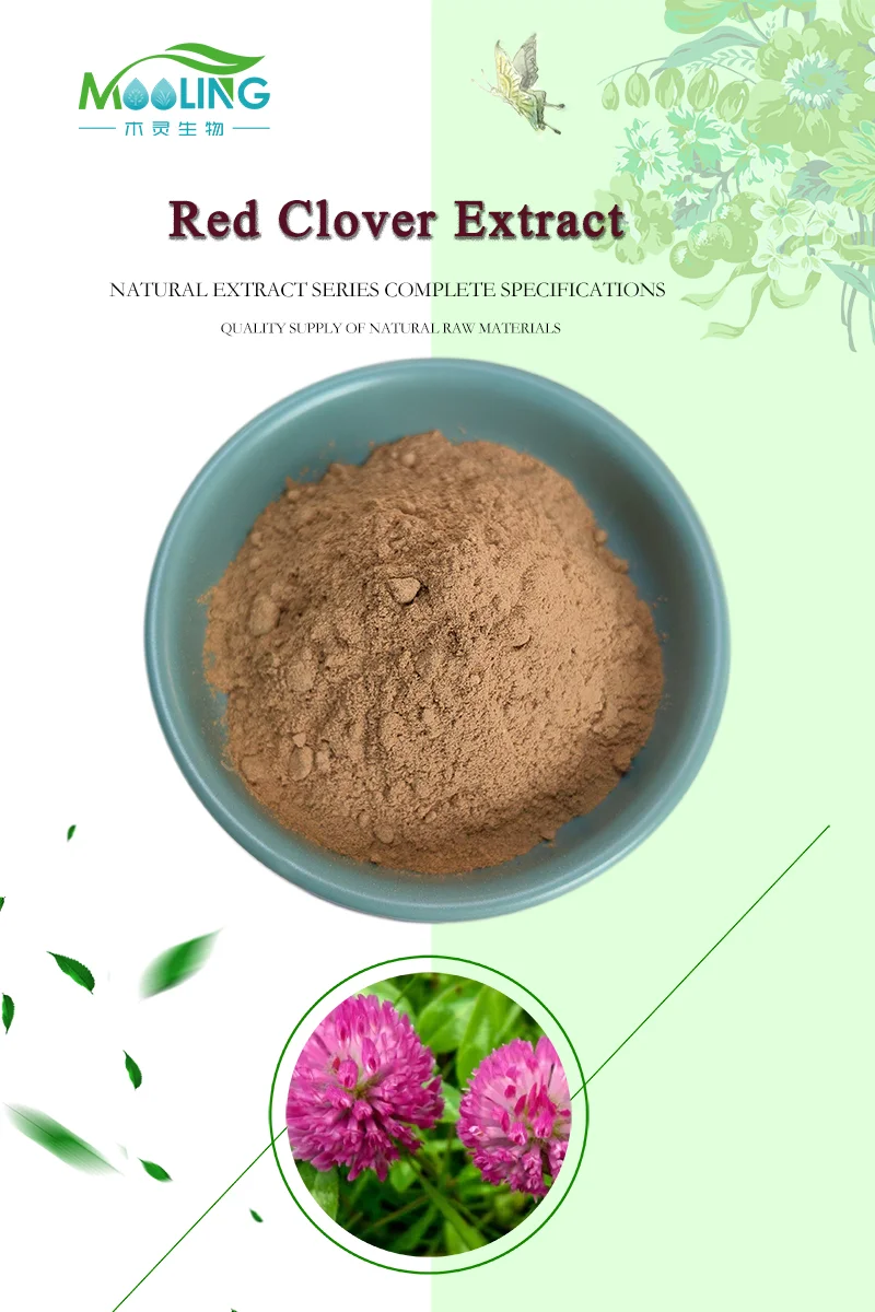 100% Pure Red Clover Extract Red Clover Powder European Standard - Buy ...