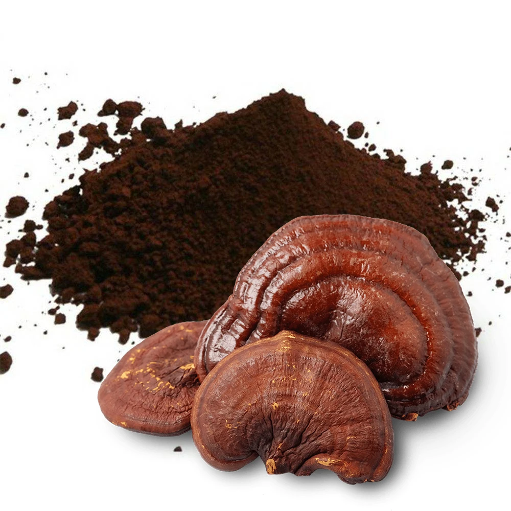 100% Natural Ganoderma Lucidum Extract Powder - Buy Reishi Powder ...